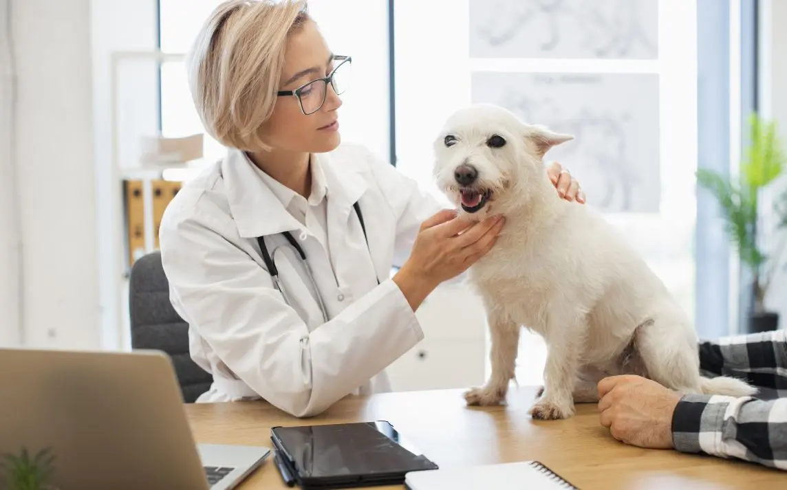 The AI Agent Dog Symptom Checker: Precision Triage Beyond Search